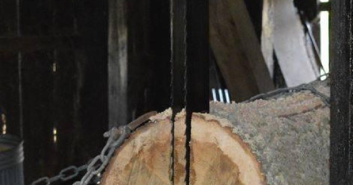 Gunton Park Sawmill - Norfolk County Council